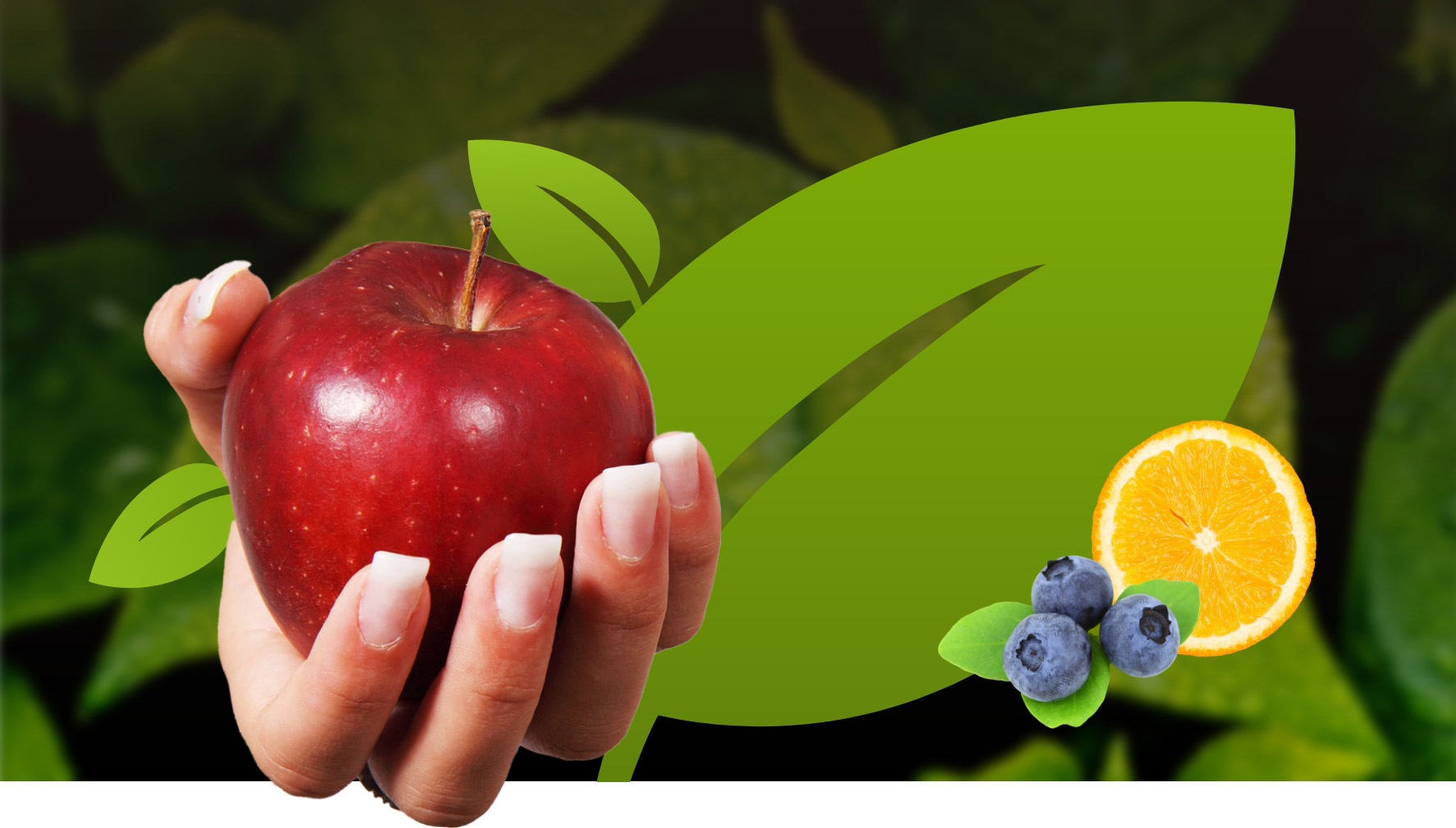 BDP Foods – Comercio Exterior